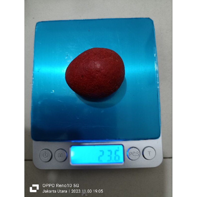 Jual geliga batu landak merah alami | Shopee Indonesia