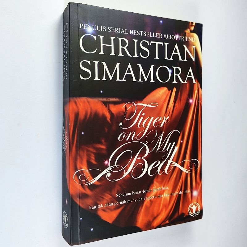 Jual NOVEL DEWASA & REMAJA ORIGINAL KARYA CHRISTIAN SIMAMORA | Shopee Indonesia