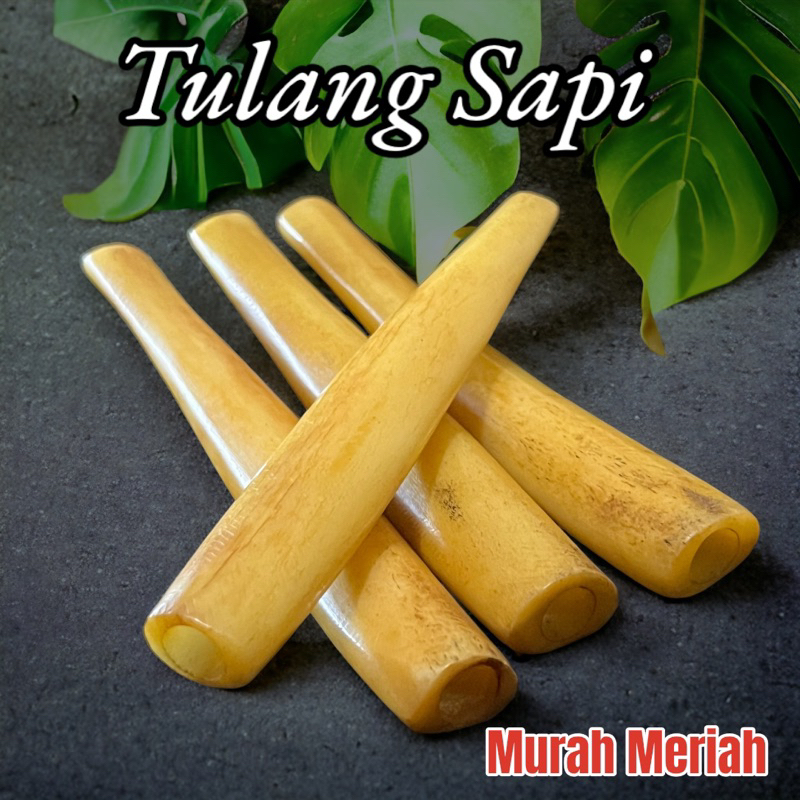 Jual PIPA CANGKLONG TULANG SAPI | Shopee Indonesia
