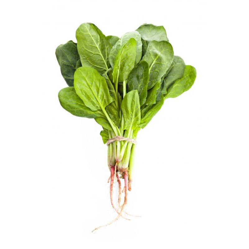 Jual bayam | Shopee Indonesia