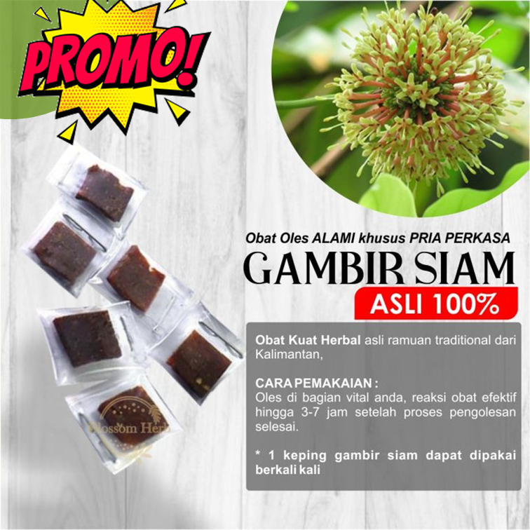 Jual Obat Oles Pria Herbal Gambir Siam Serawak Malaysia Asli 100% ...
