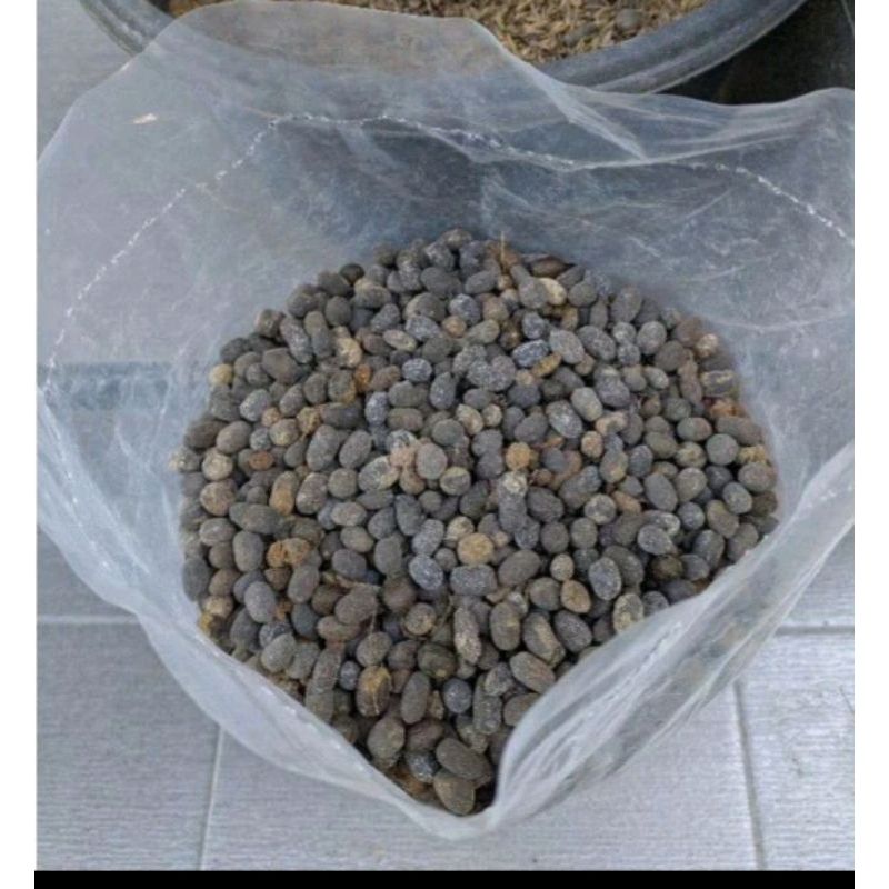 Jual media tanam kohe kambing 1kg | Shopee Indonesia