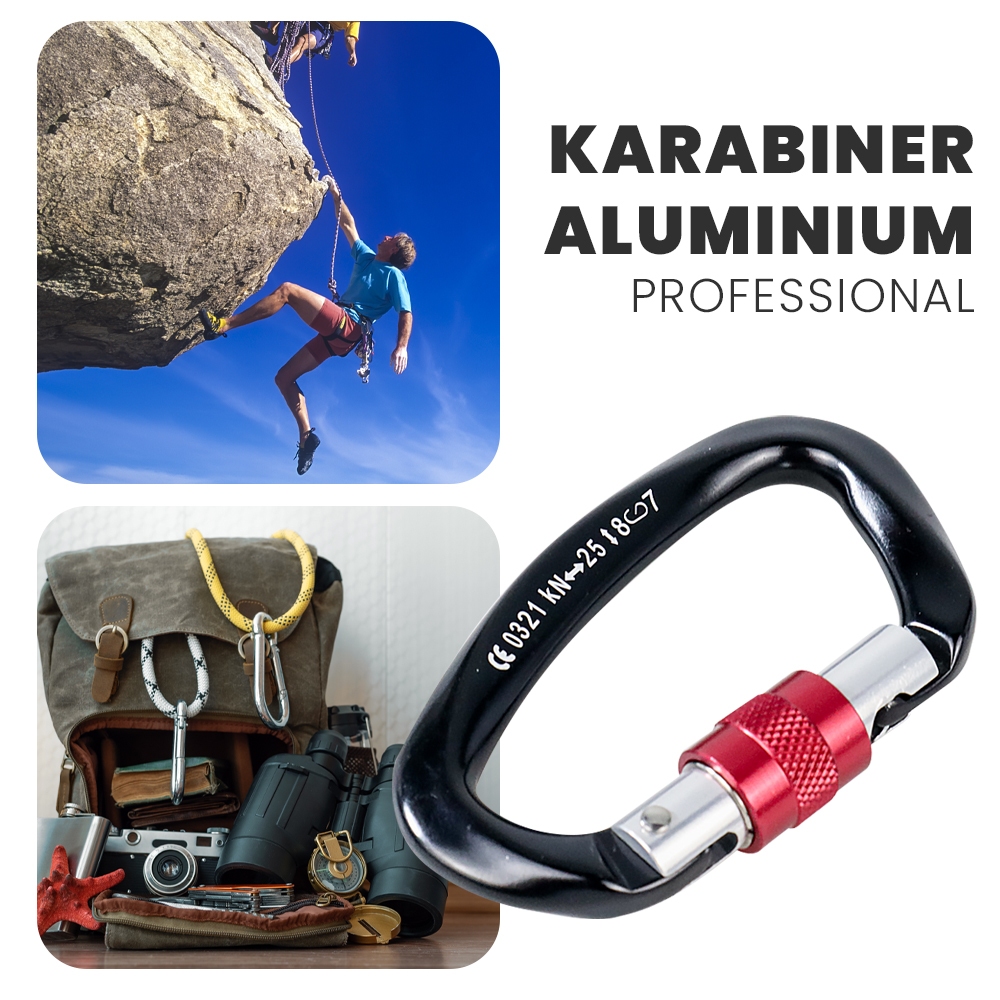 Jual Carabiner Delta Autolock Screw Aluminium Professional Heavy Duty ...