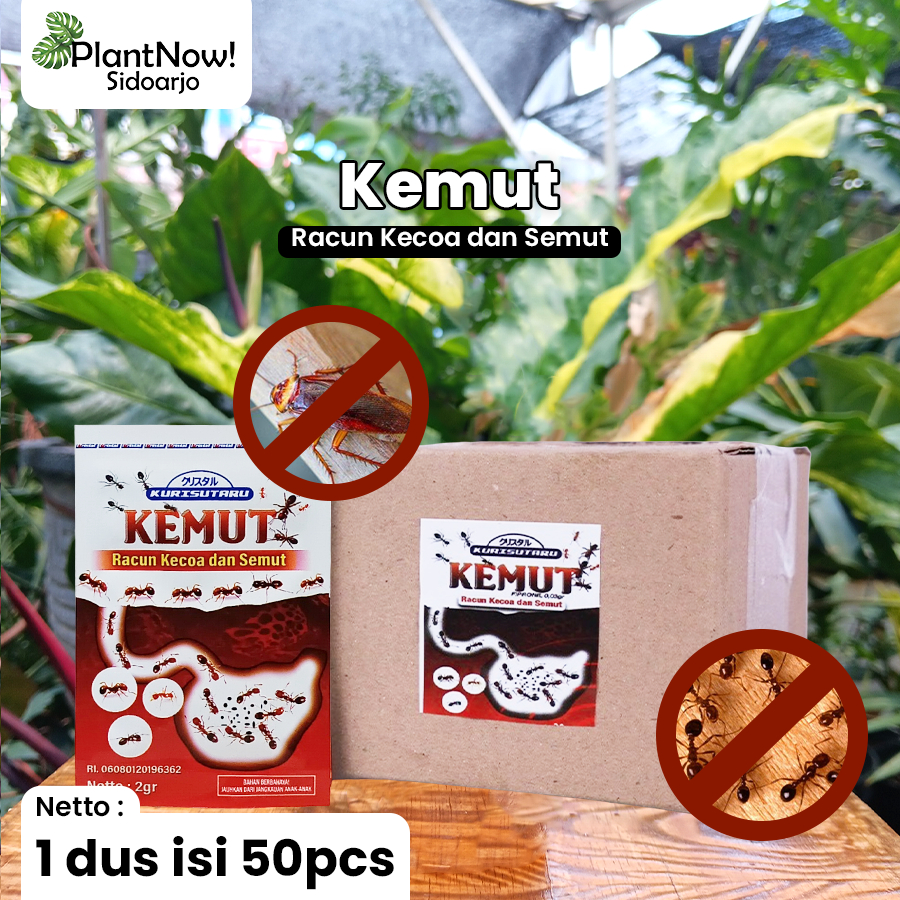 Jual Pembasmi Semut dan Kecoa FIPRONIL KEMUT Sachet 2 gr - 1 Dus ...