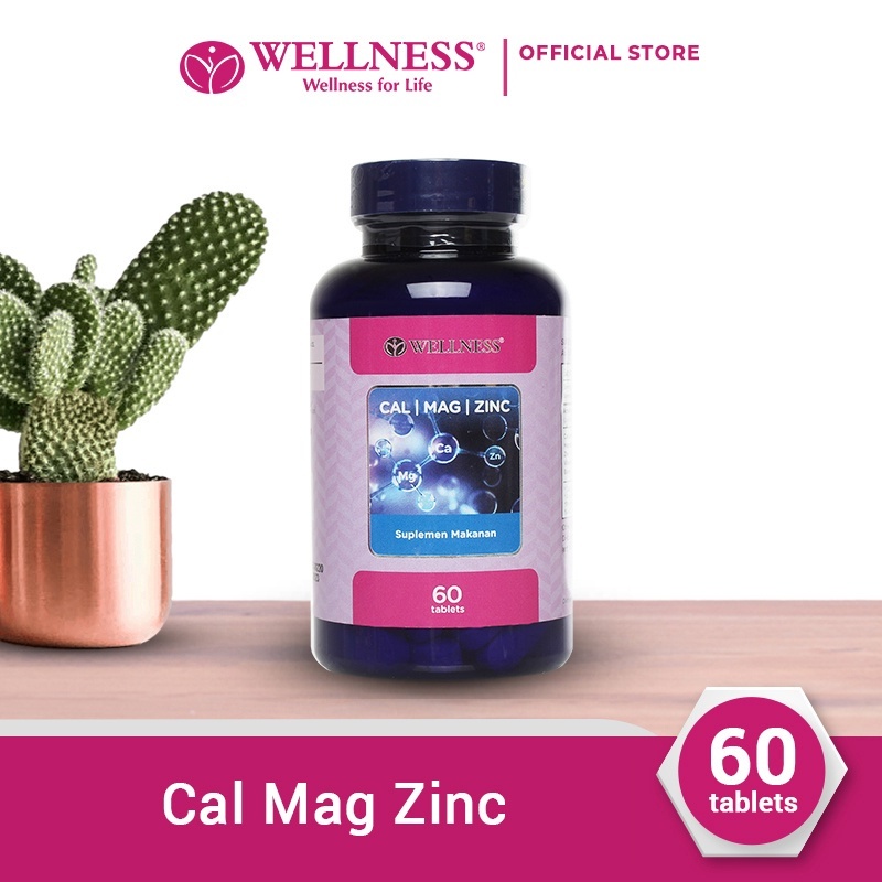 Jual WELLNESS CAL MAG ZINC ISI 60 TABLET | CAL/MAG/ZINC | KALSIUM ...