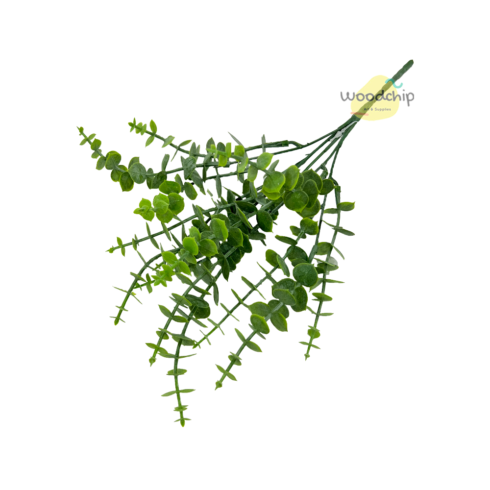Jual (EUC-2) DAUN SILVER DOLLAR TIPE 2 EUCALYPTUS EUKALIPTUS BUNGA ...