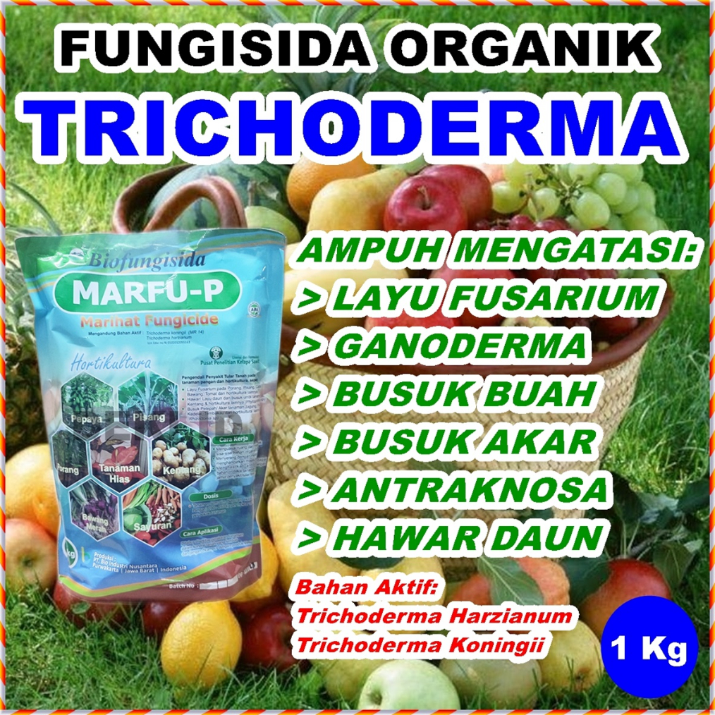 Jual GrosirTricoderma Harzianum 1 Kg Bio Fungisida Hayati Pupuk Organik ...
