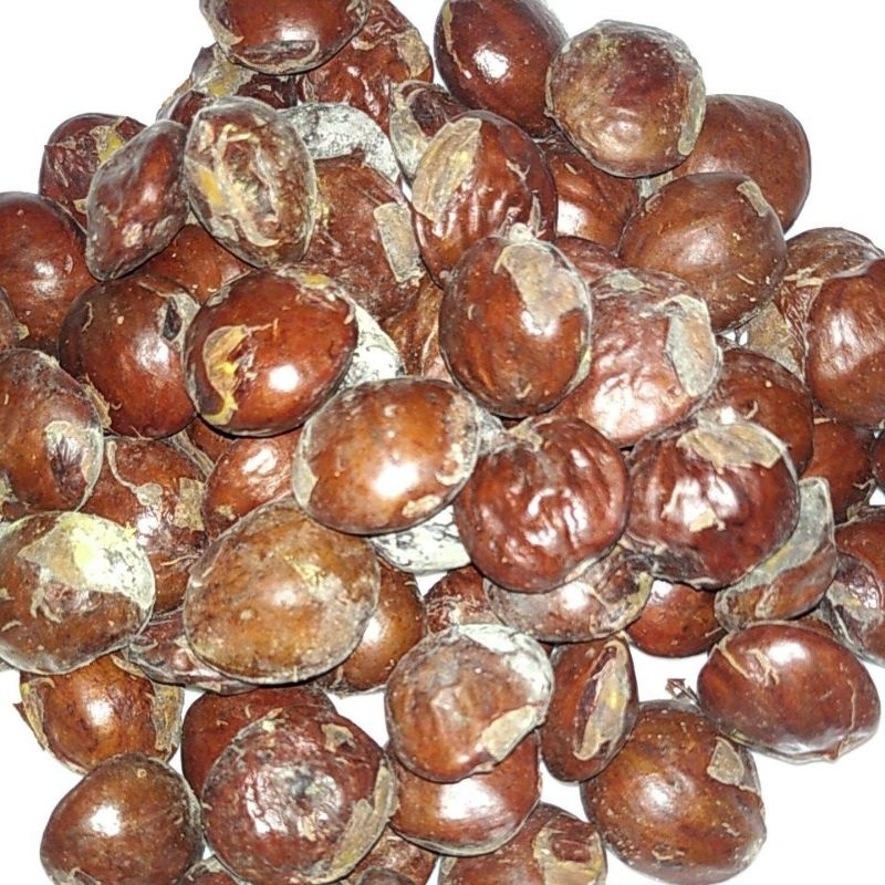 Jual SAYUR JENGKOL JERING | Shopee Indonesia