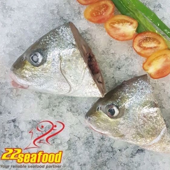 Jual Kepala Ikan Gerot 1 kg / White Snapper / Seafood 22 | Shopee Indonesia