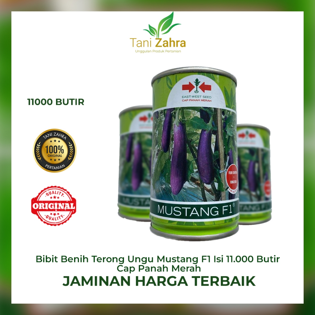 Jual Bibit Benih Terong Mustang F1 1100 Butir Original Bibit Terong Ungu | Shopee Indonesia