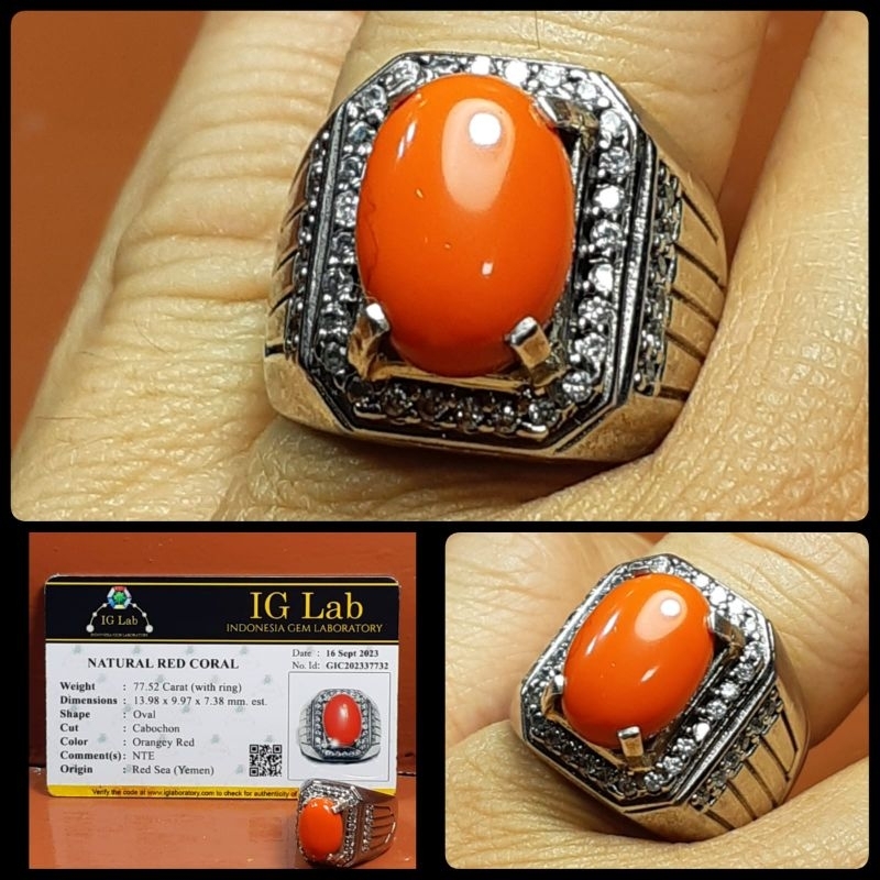Jual ORIGINAL BATU AKIK RED CORAL MARJAN ( YEMEN SEA ) | Shopee Indonesia