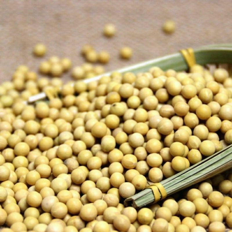 Jual Kacang kedelai SUPER IMPORT 1KG | Shopee Indonesia