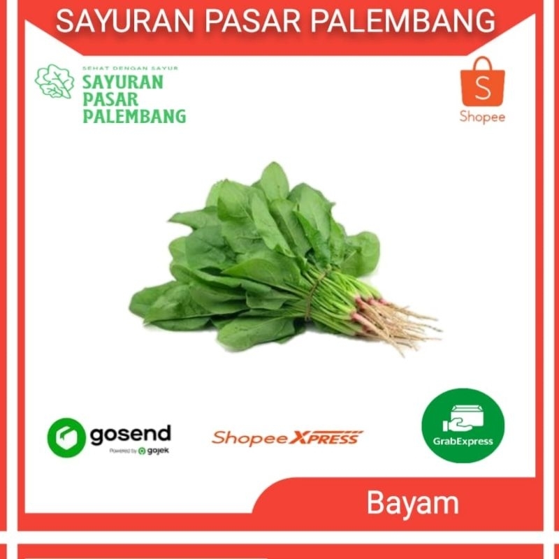 Jual Sayur Bayam segar - Sayuran Pasar Palembang | Shopee Indonesia