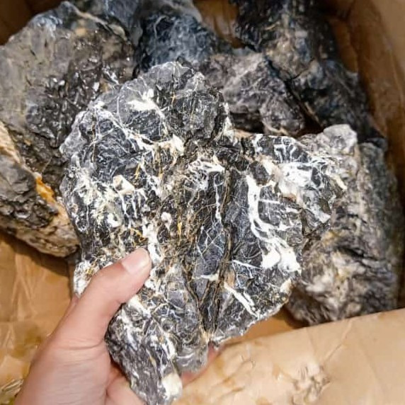 Jual BLACK SEIRYU STONE JAPAN ASLI / BATU AQUASCAPE PALUDARIUM ...