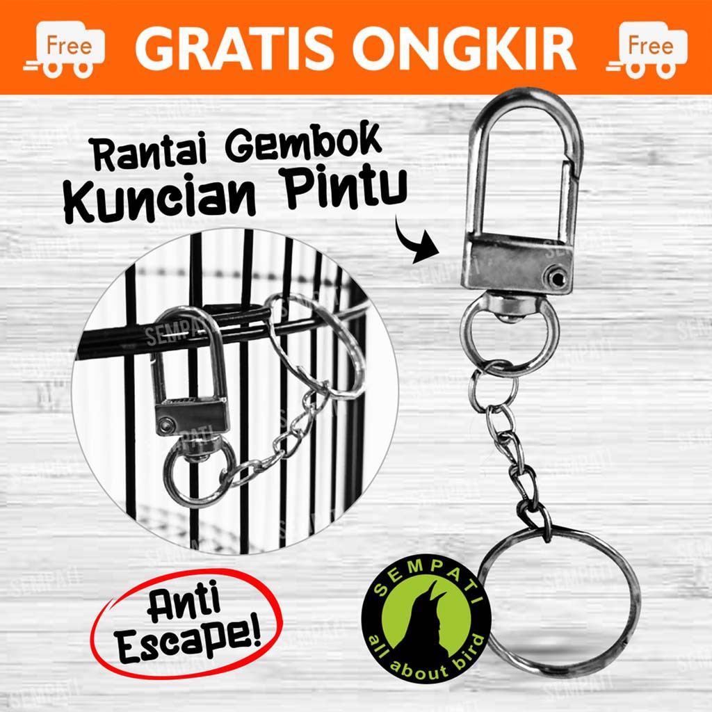 Jual Rantai Gembok Silver Pengunci Sangkar Burung Murai Lovebird Kacer ...