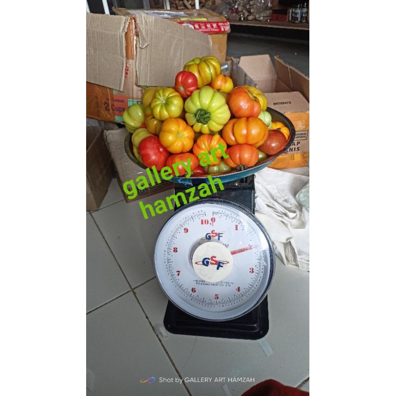 Jual tomat Ranti organik khas Banyuwangi 1kg | Shopee Indonesia