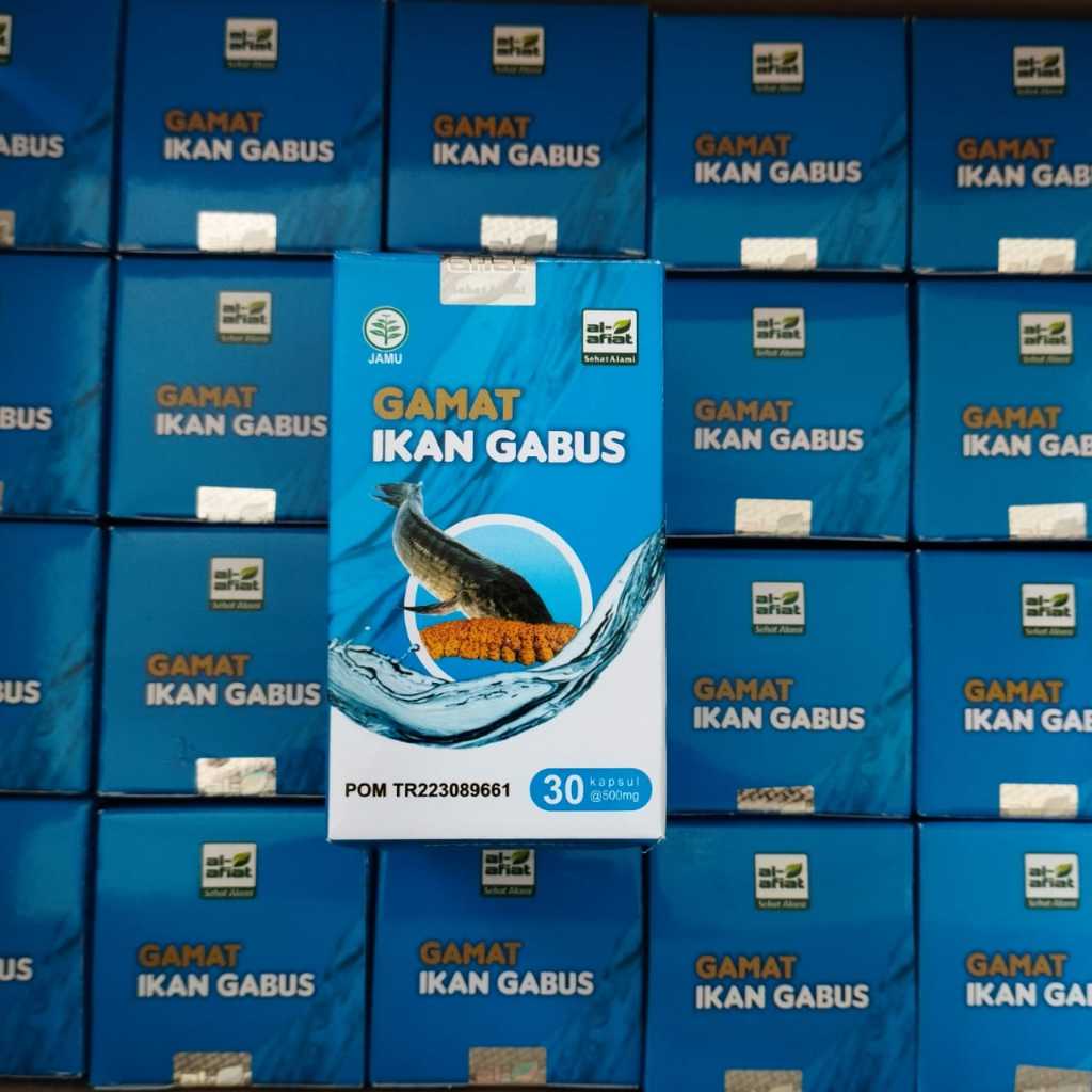 Jual Kapsul Gamat Ikan Gabus Al Afiat 30 kapsul 7X LEBIH CEPAT KERINGKAN LUKA OPERASI | Shopee ...