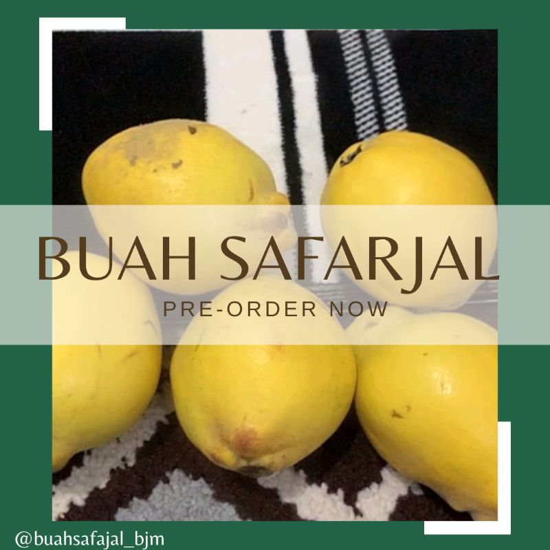 Jual Buah Safarjal Buah Quince - per 1 biji / per 1 buah | Shopee Indonesia