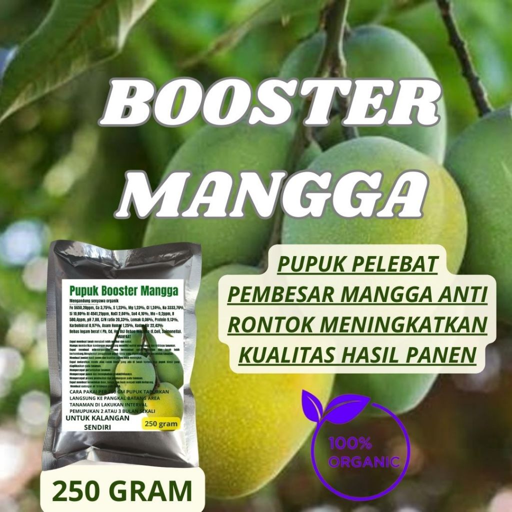Jual TFI Pupuk Booster Mangga 250 GR Pelebat Buah dan Anti Rontok Pupuk Mangga Agar Cepat ...