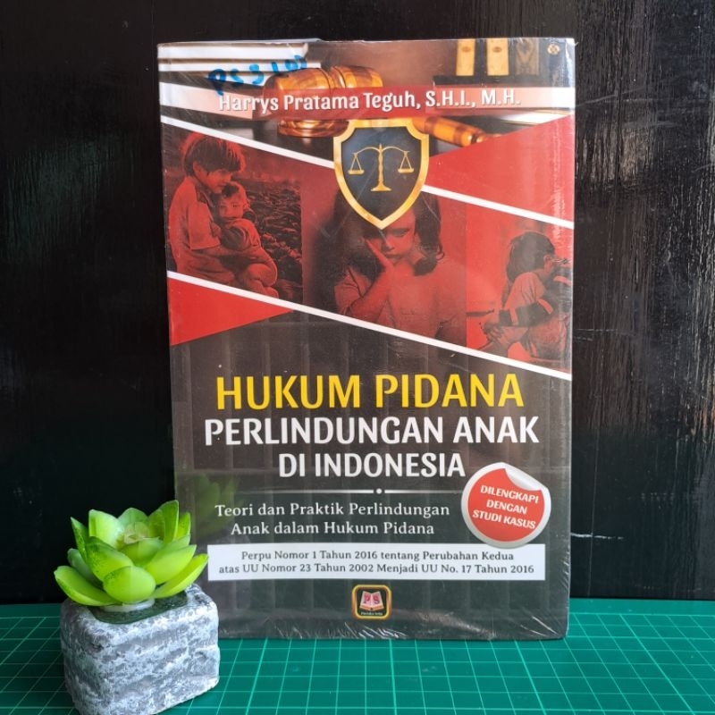 Jual (Original) Buku Hukum Pidana Perlindungan Anak di Indonesia Teori dan Praktik Perlindungan ...