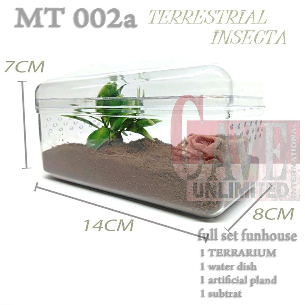 Jual MT001A FUNHOUSE FULL SET KANDANG GECKO KELOMANG KEONG TARANTULA ...