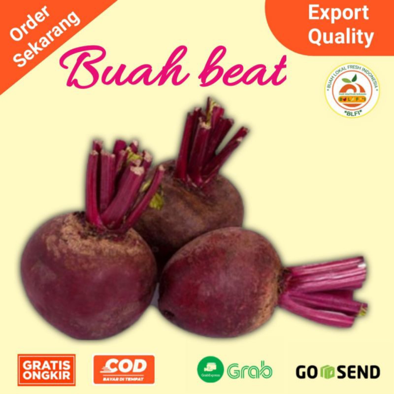 Jual BUAH BEAT ROOT/BEET ROOT SEGAR | Shopee Indonesia