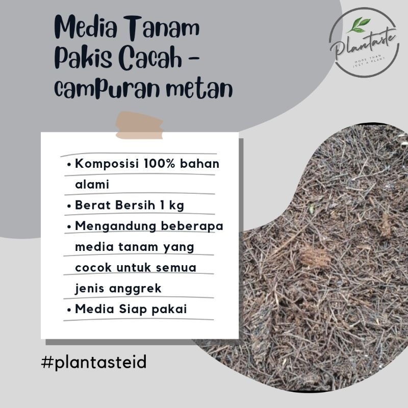 Jual Media Tanam | Pakis Cacah | Campuran Metan Tanaman Hias & Anggrek ...