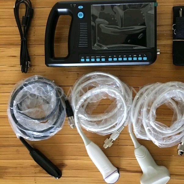 Jual Alat USG Hewan Ternak Pemindai Kehamilan Ultrasound Sapi Kambing ...