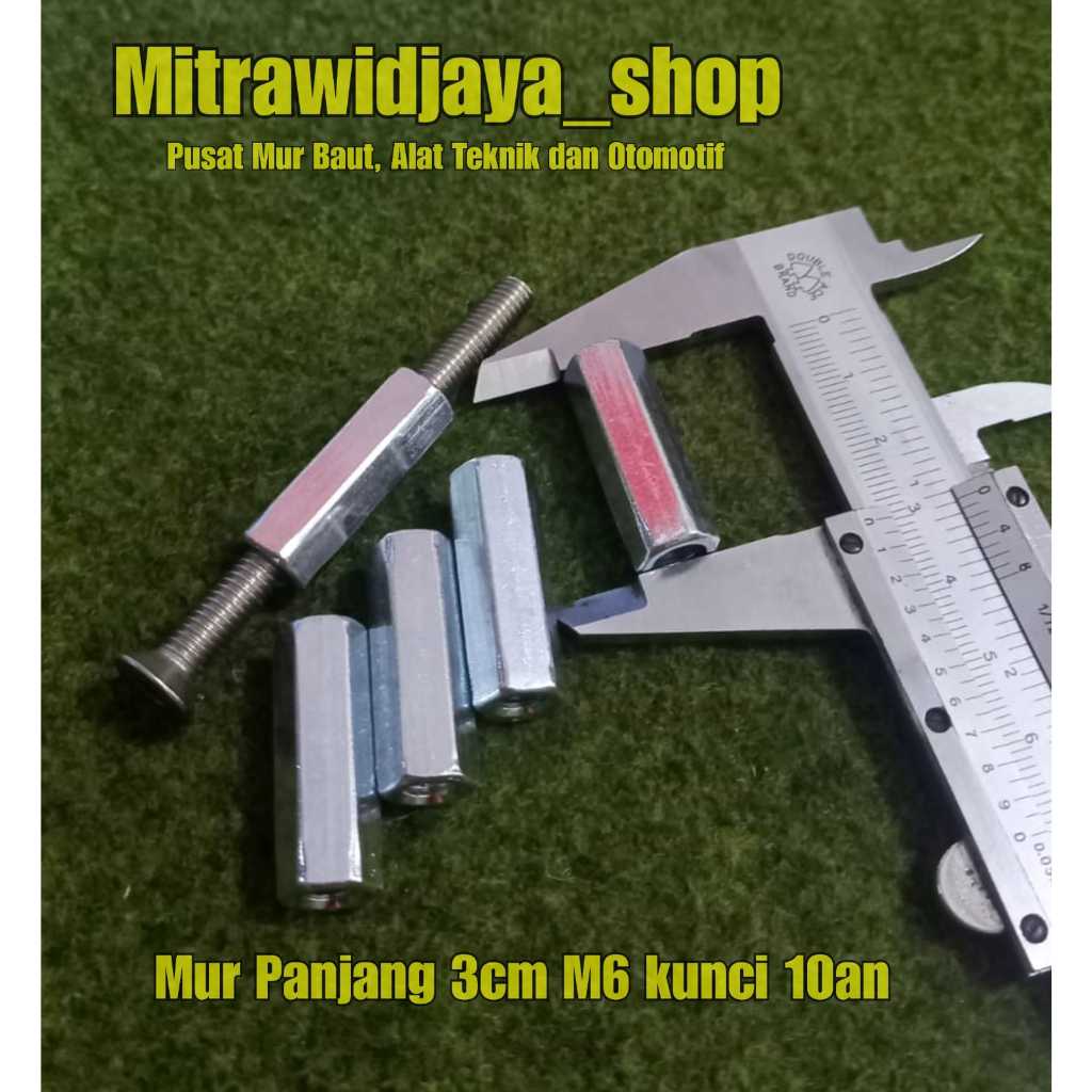 Jual Mur panjang kunci 10an M6 p 1.0 panjang 3cm long nut panjang drat ...