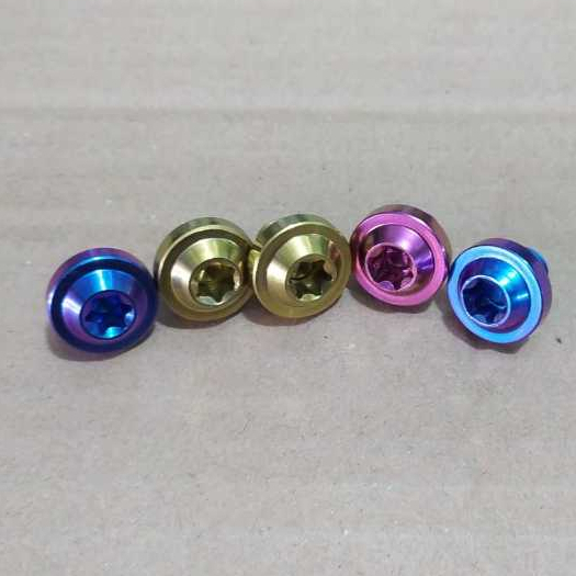 Jual Baut Titanium Gr 5 M10 x 15 Drat 14 Panjang 1.5 cm | Shopee Indonesia