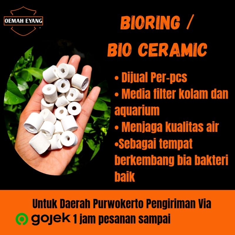 Jual BIORING / BIO CERAMIC MURAH UNTUK FILTER AQUARIUM | Shopee Indonesia