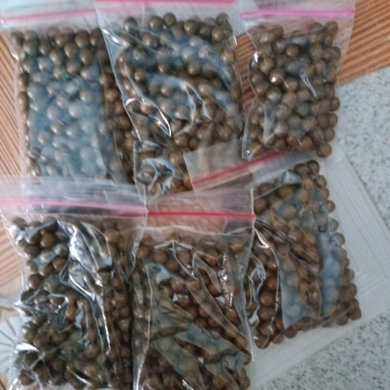 Jual PIL PINANG ANUM COKLAT KERING | Shopee Indonesia