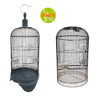 Jual Besi Dragon Terlengkap & Harga Terbaru Agustus 2024 | Shopee Indonesia