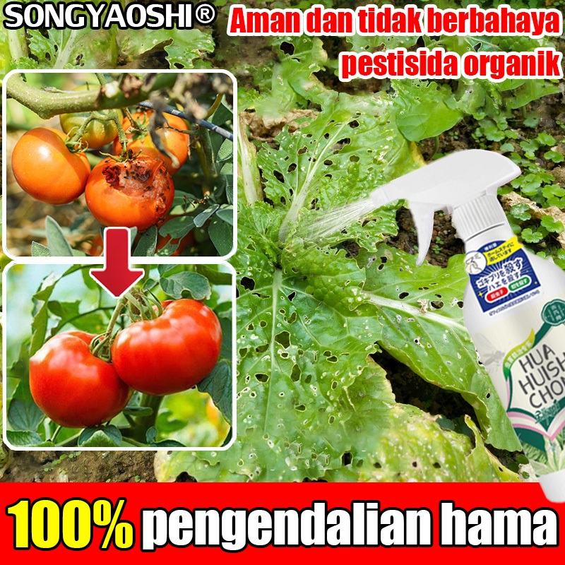 Jual Bunuh hama dalam 1detik SYS Pembasmi Hama 300ml 100% Membunuh hama ...