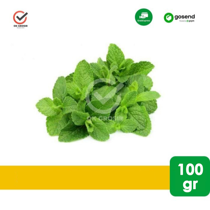 Jual Daun Mint 1 Pack (KHUSUS INSTANT) | Shopee Indonesia