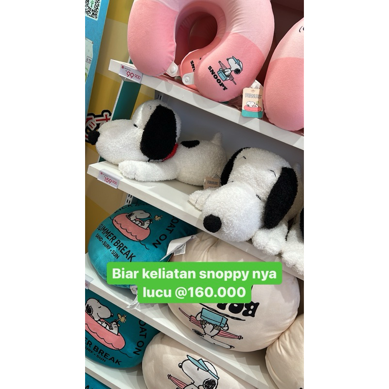 Jual Boneka bantal Sanrio X miniso X sanrio | kuromi | My melody | pochacco | Hello kitty ...