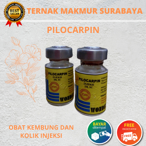 Jual Pilocarpin obat kembung | Shopee Indonesia