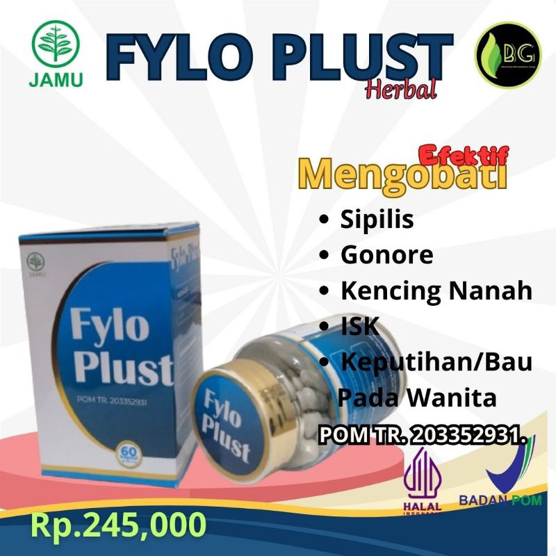 Jual FYLO PLUS. Obat Infeksi Saluran Kemih | Shopee Indonesia