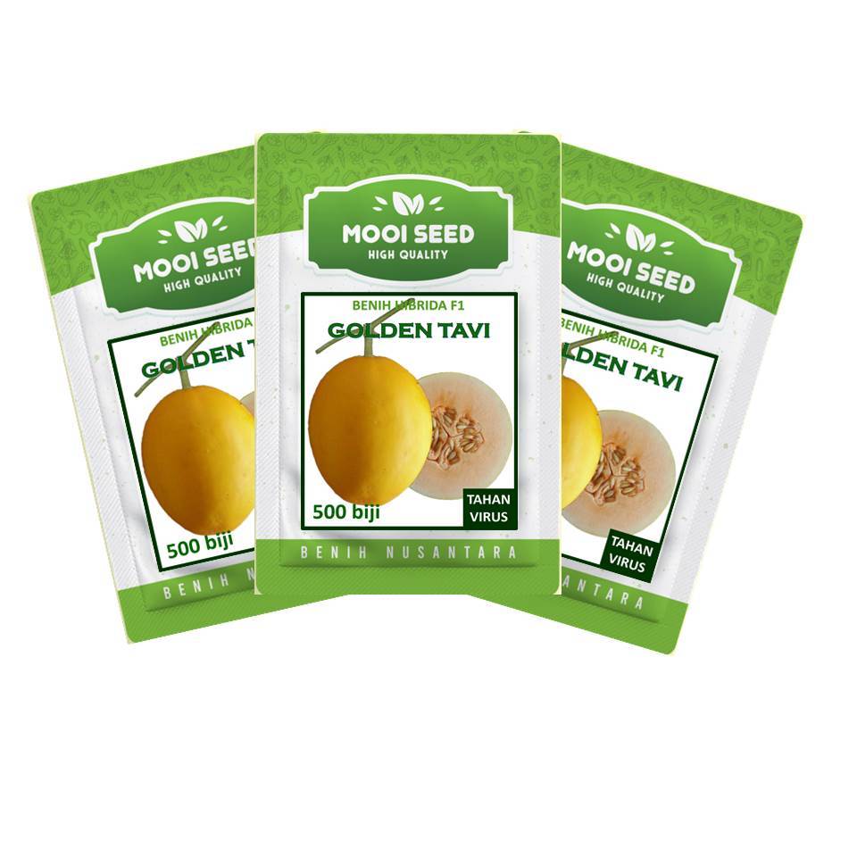 Jual Melon Golden Tavi setipe Alisha kinanti | Shopee Indonesia