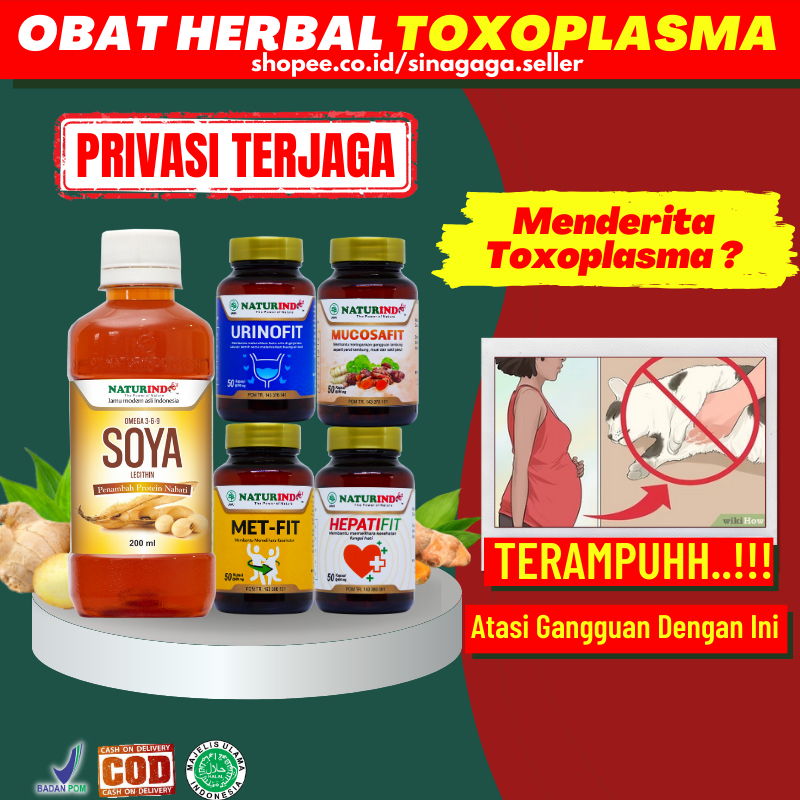 Jual Obat Toxoplasma Untuk Kesehatan Ibu Hamil Toksoplasma Toxoporosis ...
