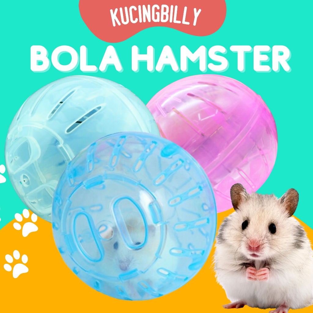 Jual BOLA HAMSTER mainan bola hamster jogging ball | Shopee Indonesia
