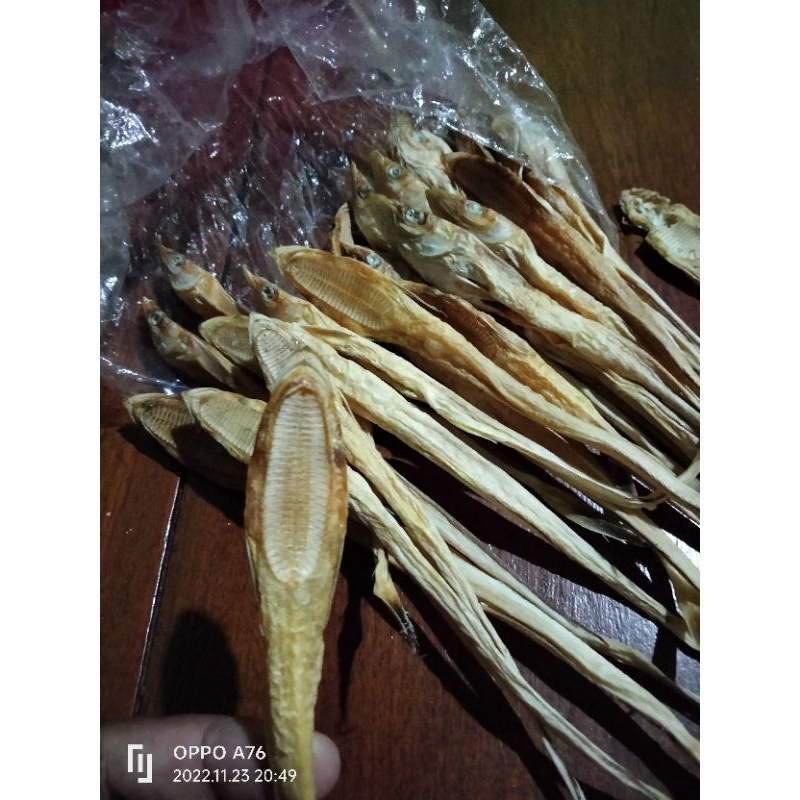 Jual Ikan Tempel Utuh Asli | Shopee Indonesia