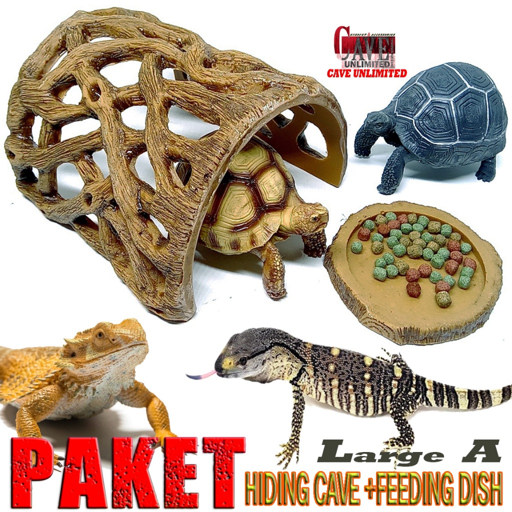 Jual PAKET LA HIDING CAVE CHOLLA + WATERDISH REPTILE GOA SEMBUNYI ...