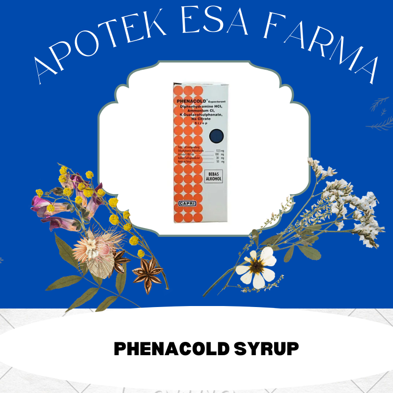 Jual Phenacold Expectorant Sirup 60 ml Obat Batuk Berdahak | Shopee ...