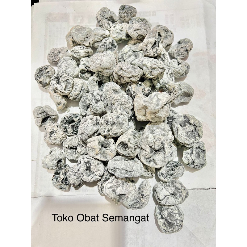 Jual Jumbo Semboi Putih Kiamboi non biji 100gr | Shopee Indonesia
