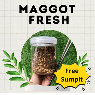 Produk Magobox Official | Shopee Indonesia