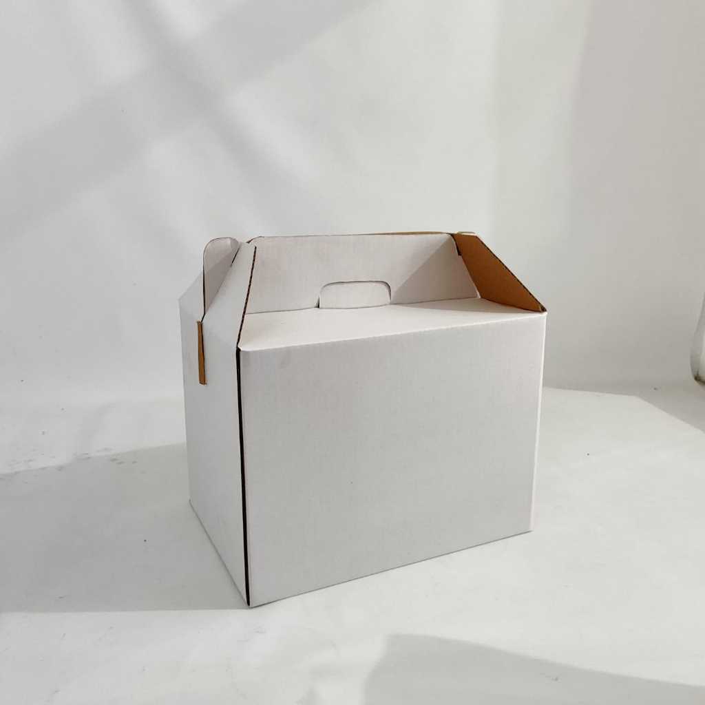 Jual Custom Kardus/Box uk 34x25x25 cm (Jinjing) Kardus/kartonPolos/buah ...