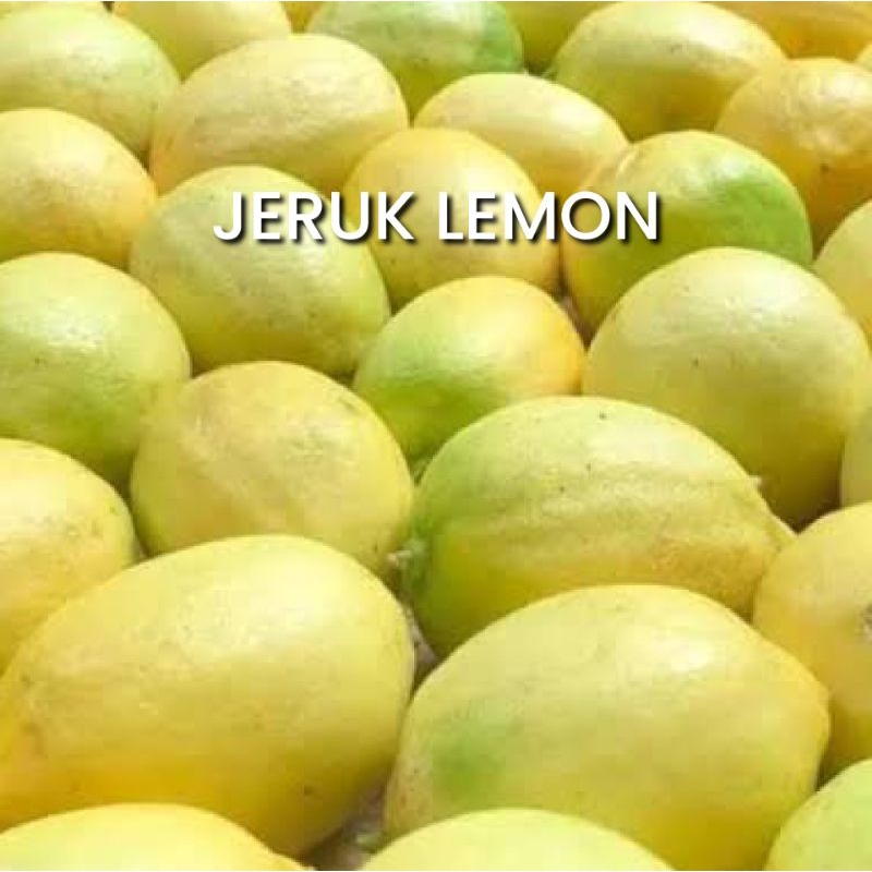 Jual Jeruk Lemon 1kg Lemon Lokal | Shopee Indonesia