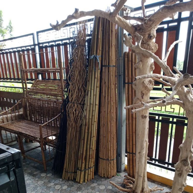 Jual BAMBU POLOS 2 METER DIAMETER BESAR HARGA PERBATANG DEKORASI RUMAH ...