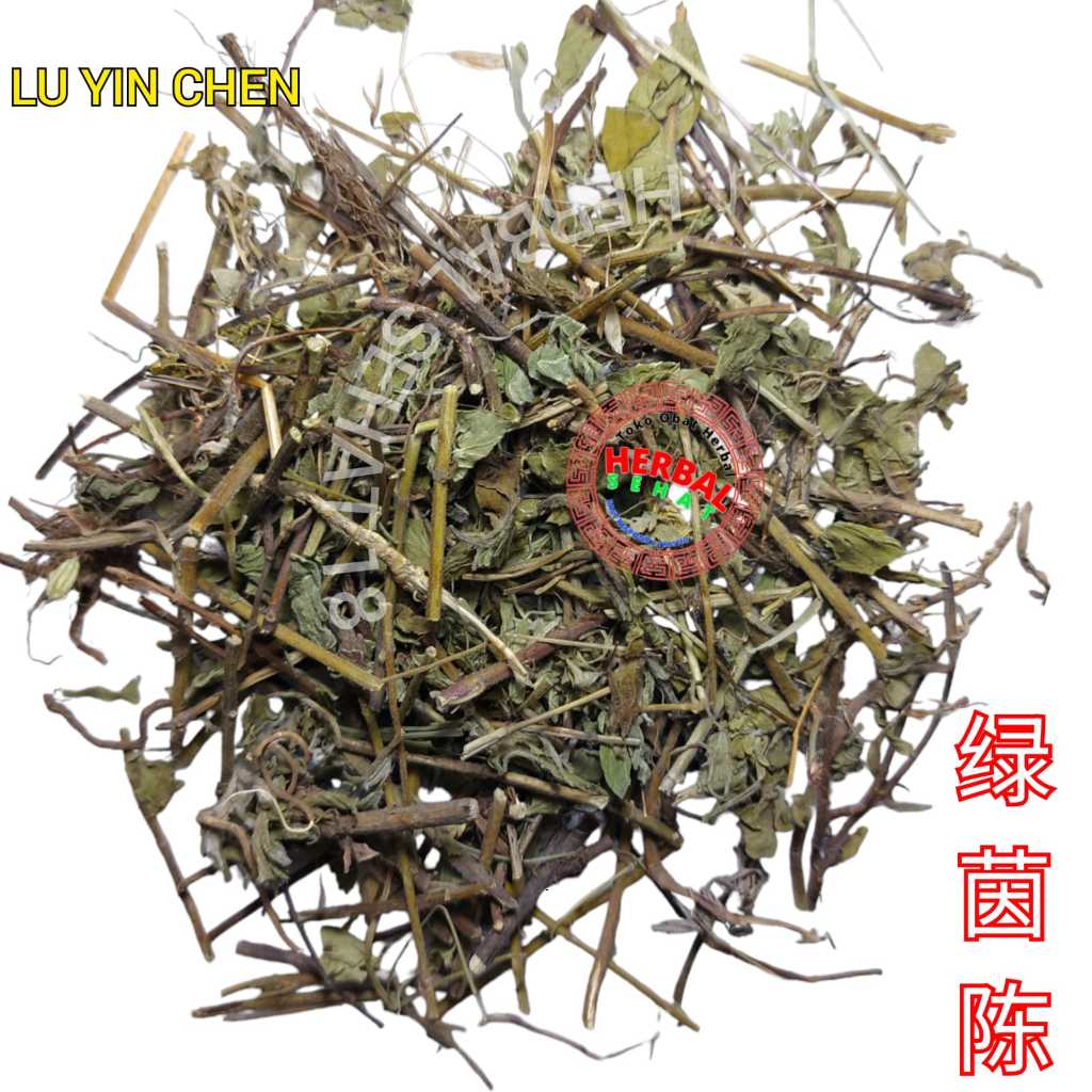 Jual 300g Lu Yin Chen Tu Yin Chen Herba Origani Oregano Herb | Shopee ...